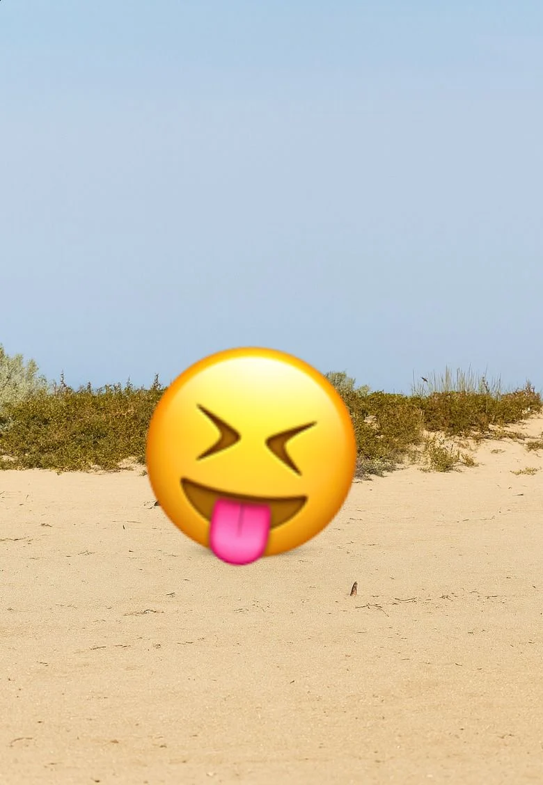 Lekker dagje strand kan gewoon zo – doehetzelfcreatie.nl