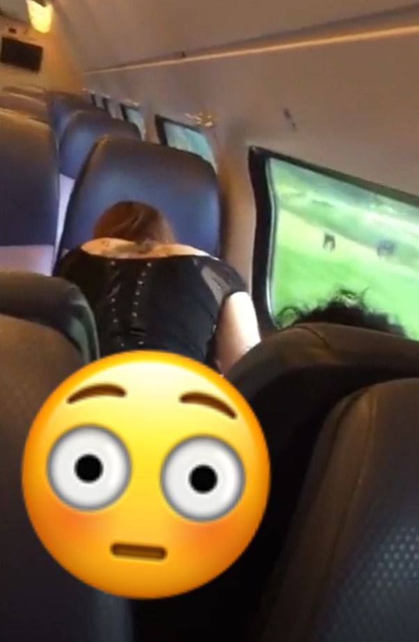 Ondertussen van de trein van Hilversum naar Amersfoort waar dit gewoon ...